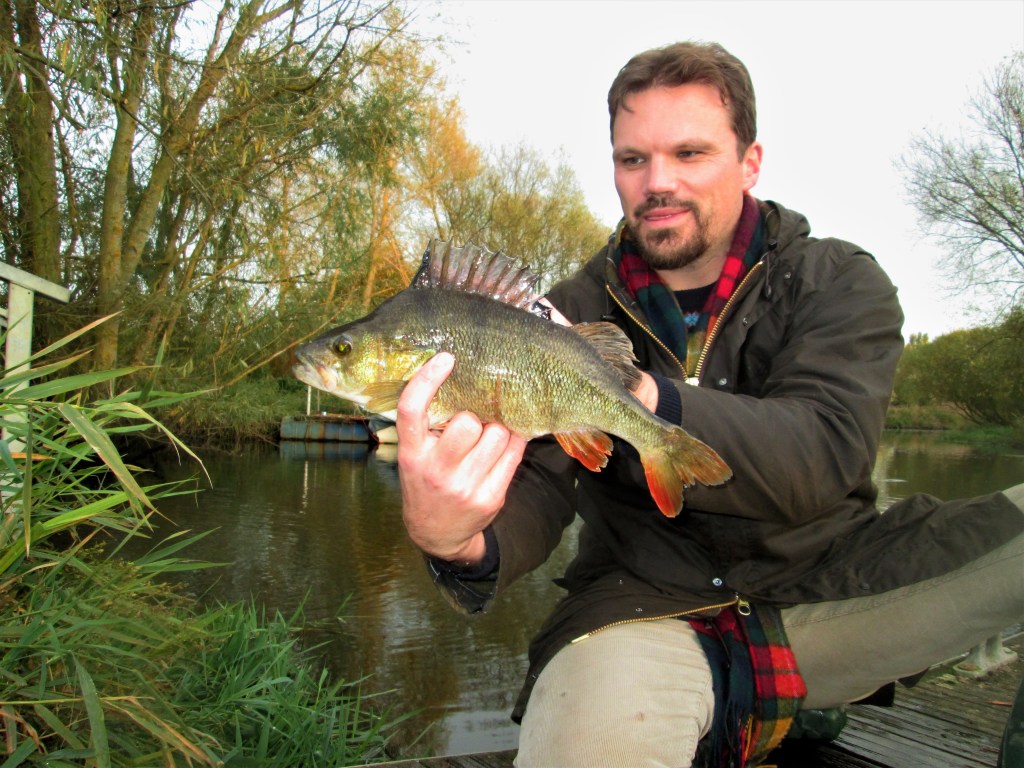 The Water Dragons – Postcards from the English Outback